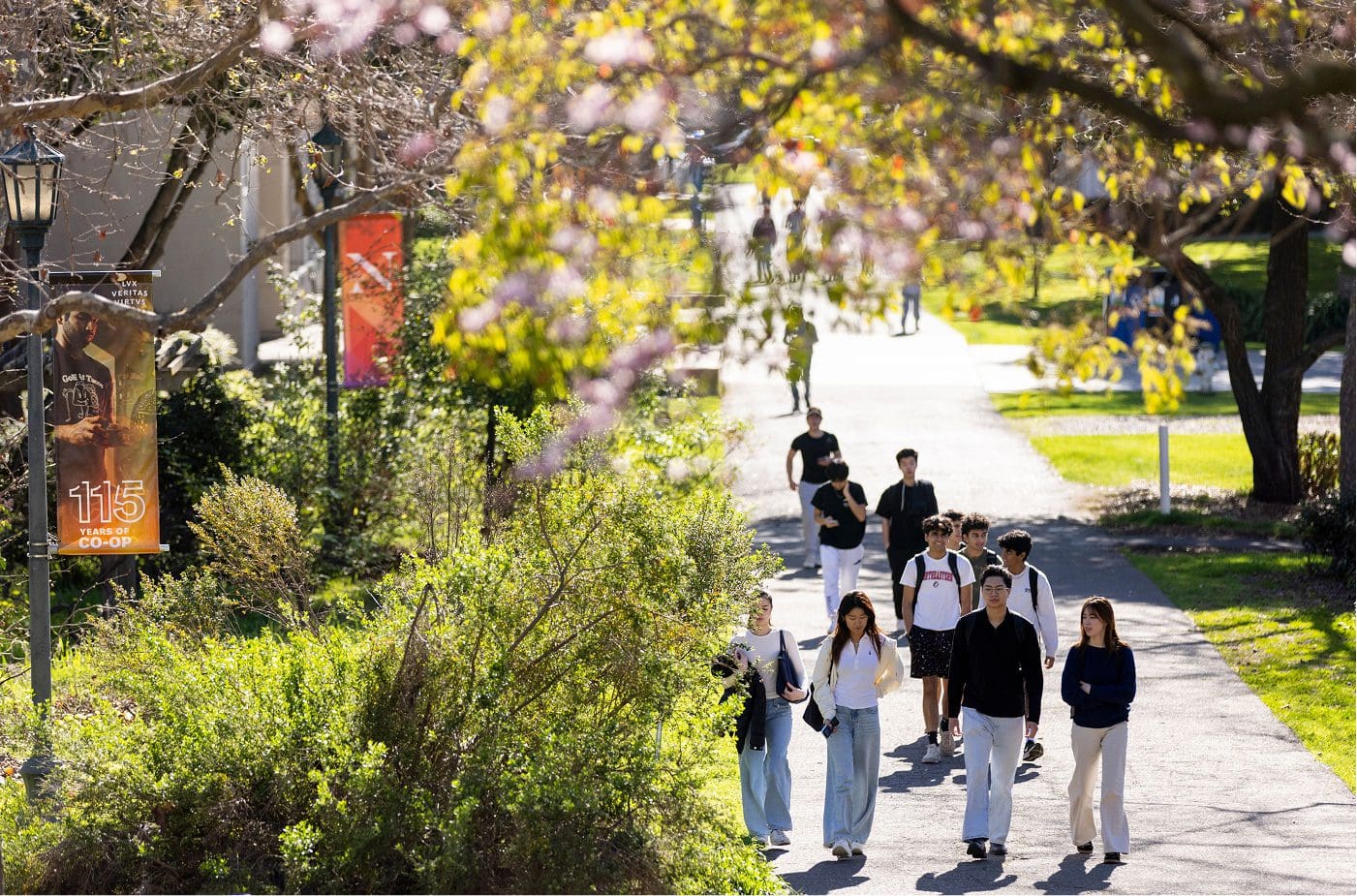 Master of Arts in Educational Leadership - Northeastern University Oakland
